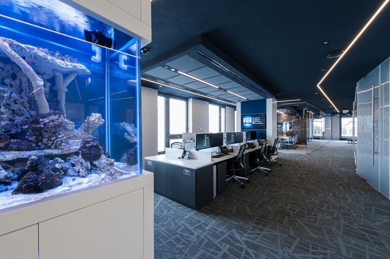 Join Bloomberg | Bright Network